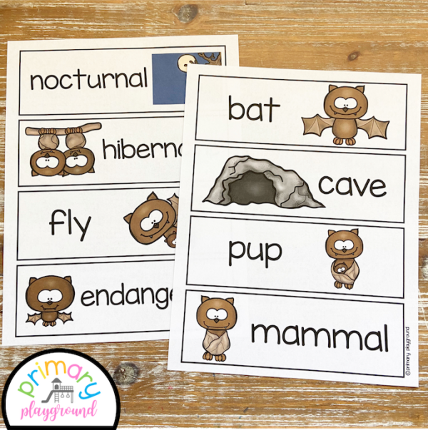 Bat Activities No Prep Math, Literacy and Science Pack - Primary Playground