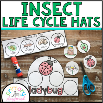 Insect Life Cycle Hats Cut and Glue - Primary Playground