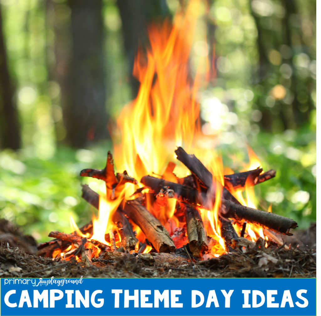Camping Themed Day Ideas - Primary Playground